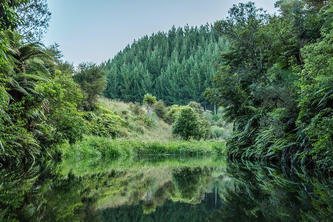 Hobbiton Day Tour from Rotorua with lunch at Hobbiton - Who Will Love This Tour?
