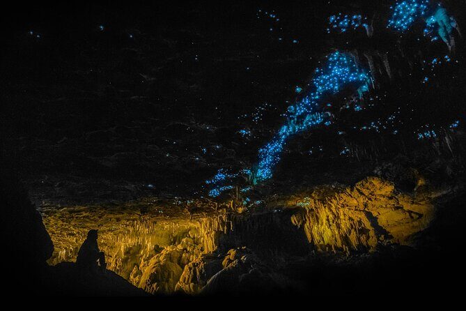 Hobbiton Movie Set and Waitomo Caves Exclusive (1-6 traveler) - Real Traveler Insights