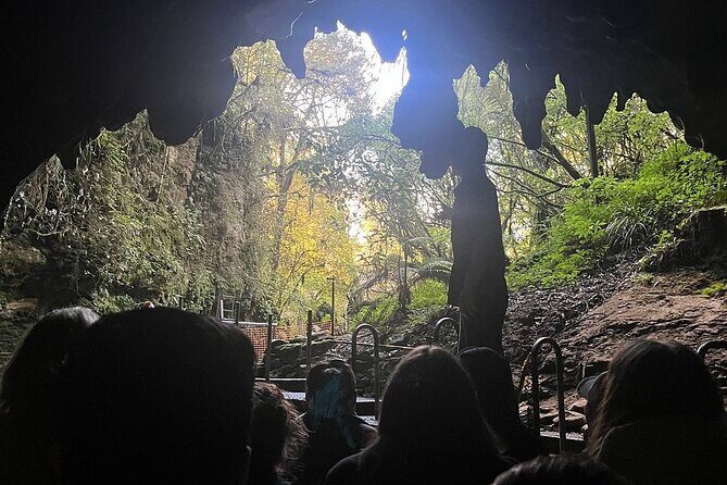 Hobbiton Movie Set and Waitomo Glow Worm Caves Tours Private SUV - Who Is This Tour Best For?
