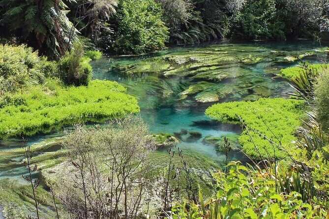 Hobbiton Movie Set & Blue Springs: Private Tour from Auckland - FAQs