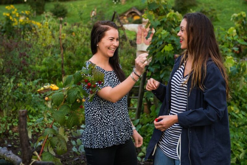 Hobbiton Movie Set & Rotorua Premium Day Tour from Auckland - Who Should Consider This Tour
