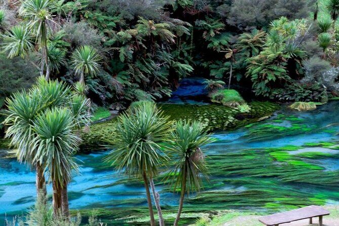 Hobbiton Movie Set Tour to Blue Springs and Mineral Spa - FAQs