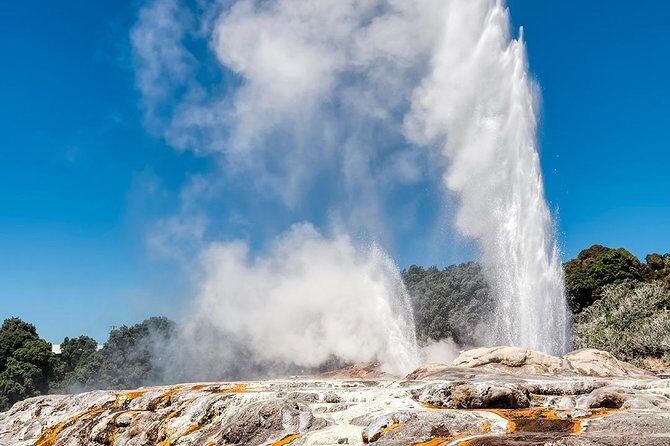 Hobbiton & Rotorua Small Group Day Tour inc Te Puia from Auckland - Journey from Auckland to Hobbiton and Rotorua