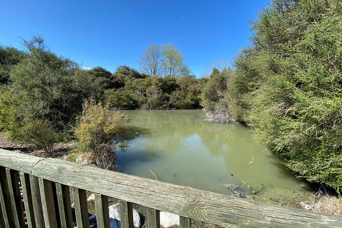 Hobbiton & Rotorua Small Group Tour from Auckland - End of the Day: Returning to Auckland