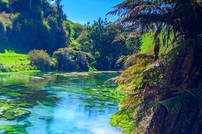 Hobbiton, Waitomo Caves, Blue Spring & Hamilton Garden Day trip - Frequently Asked Questions