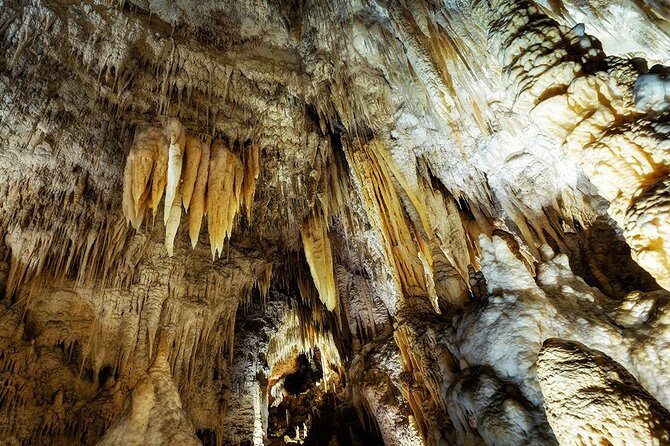 Hobbiton & Waitomo Caves Small Group Tour from Auckland inc Lunch - The Sum Up