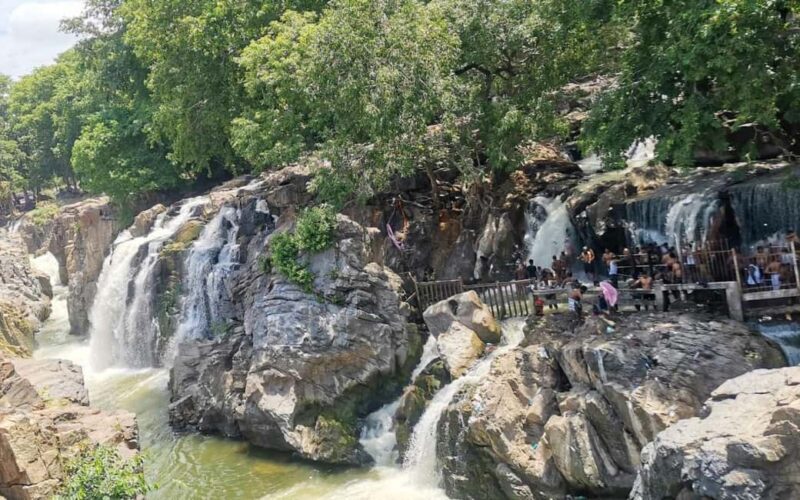 Hogenakkal Falls Day Trip from Bangalore with Coracle Ride - FAQ