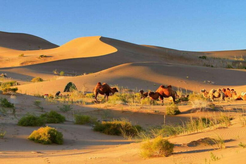 Hohhot: 6-Day Private Tour to Huitengxile and Kubuqi Desert - Who Is This Tour Best For?