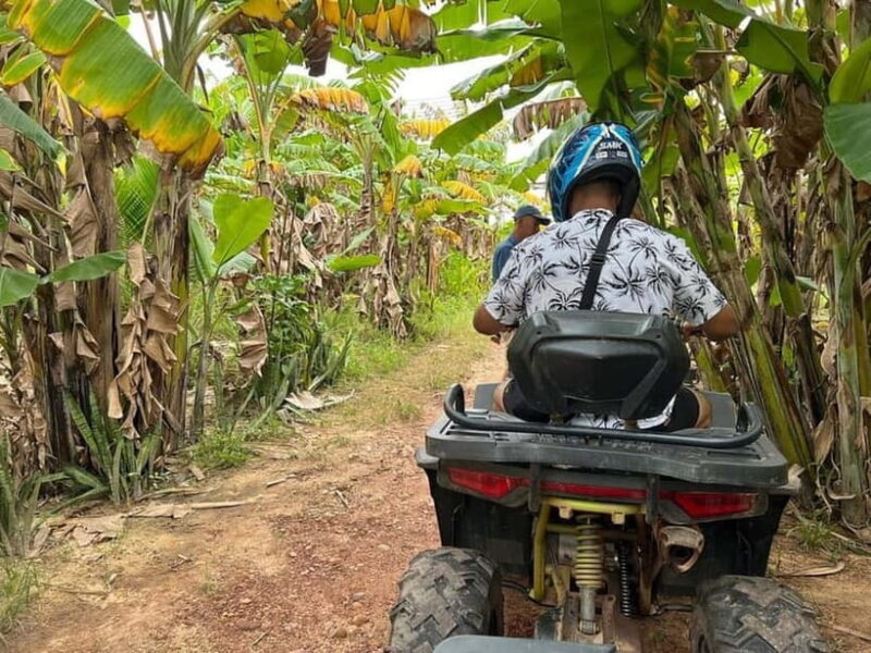 Hoi An: ATV, Quad Bike Adventure Drive & BBQ - The Experience: What to Expect from Start to Finish