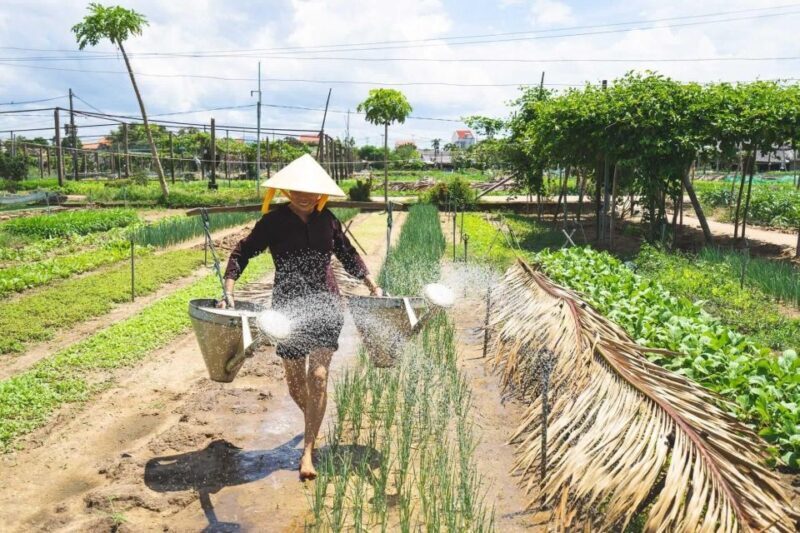 Hoi An: Authentic Cooking class in organic Herb Village - The Experience’s Authenticity and Value