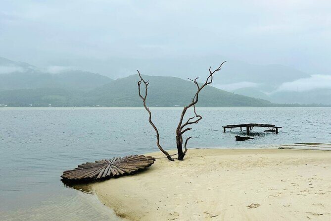 Hoi An: Bach Ma National Park Trek And Lang Co Beach Tour - FAQs