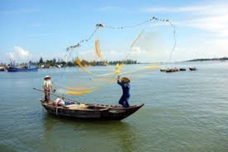 Hoi An: Basket Boat Ride in the Coconut Forest - What to Expect on the Basket Boat Tour