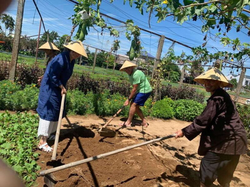 Hoi An: Cam Thanh Cooking Class & My Son Sanctuary Day Tour - An In-Depth Look at the Tour Experience