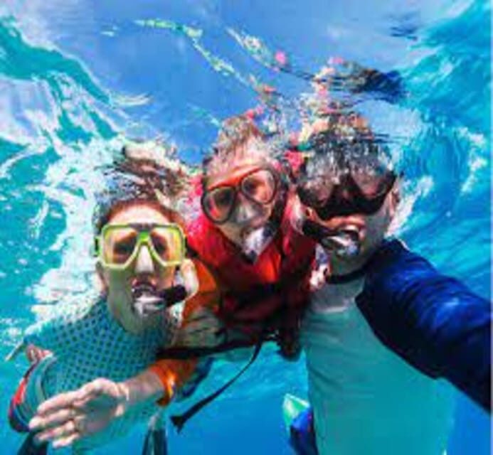 Hoi An: Cham Island Discover Scuba Dive for Beginner 1-Day - Price and Value
