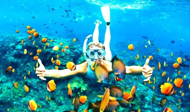 Hoi An: Cham Island Snorkeling Adventure & Seafood Lunch - An Authentic Coastal Escape — What You Can Expect