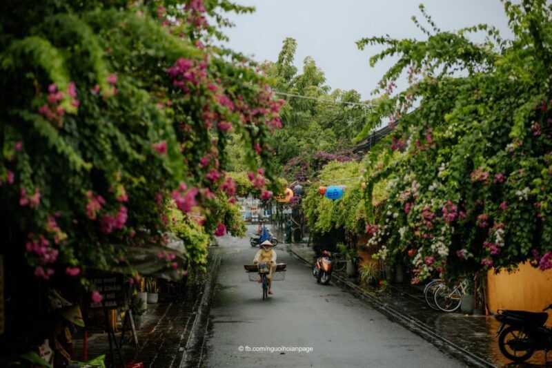 Hoi An: City Tour, Banh my and Coffee - Final Thoughts