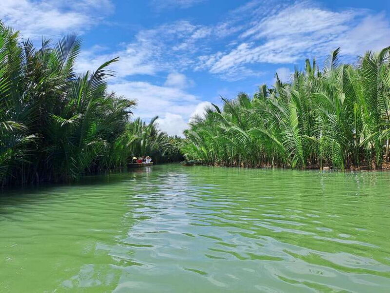 Hoi An City tour -Basket boat ride in the Coconut forest - The Water Coconut Forest Experience
