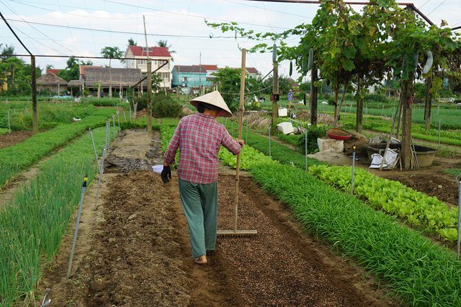 Hoi An cooking class - Pricing and Value