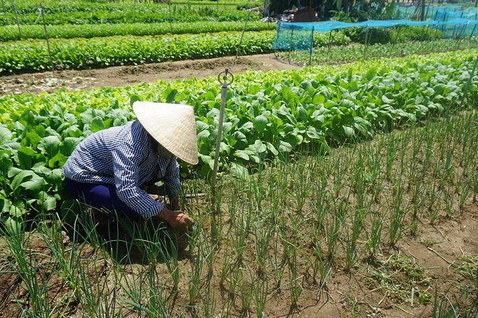 Hoi An cooking class - Who Should Book This Tour?