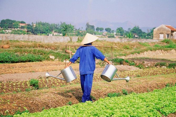 Hoi An Cooking Class at Tra Que Vegetable Village - Key Points