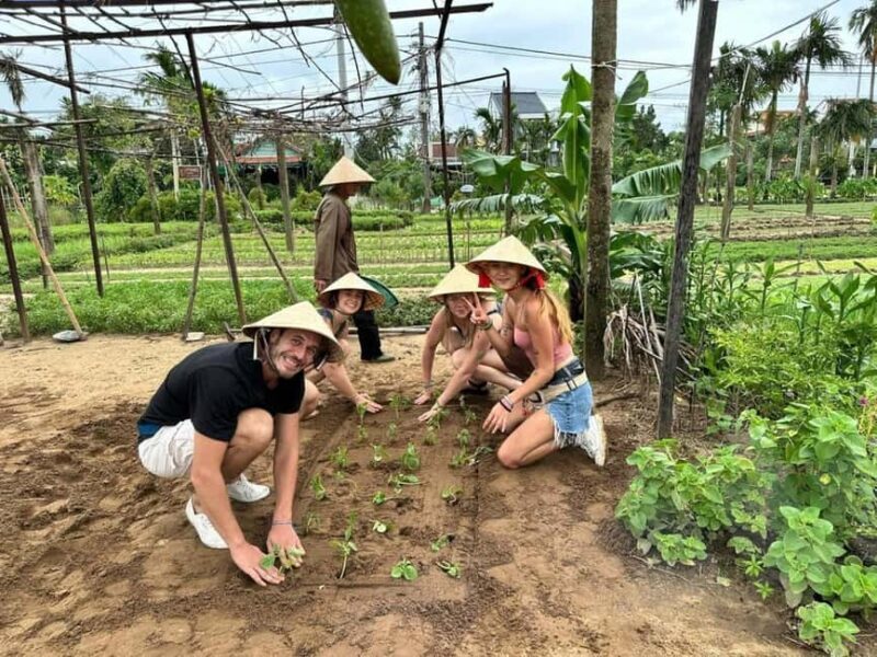 Hoi An Cooking Class in Tra Que Organic Vegetable Village - Introduction