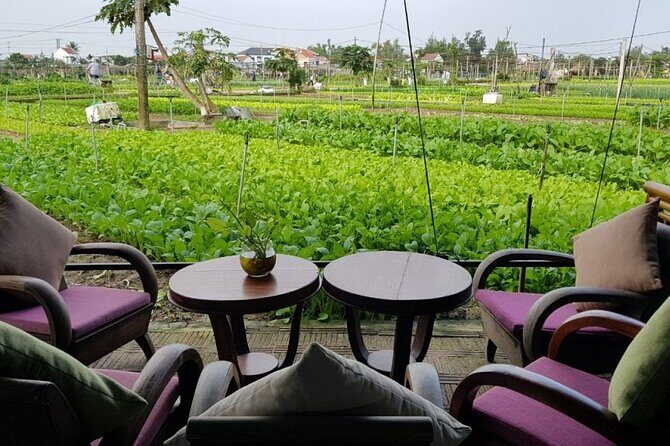Hoi An Cooking Class With Market Tour and Bamboo Basket Boat Ride - Who Should Consider This Tour?