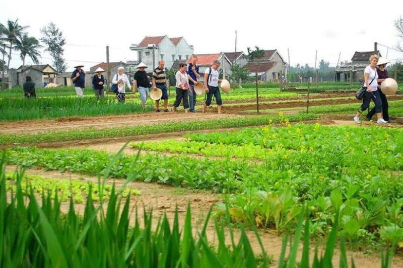 Hoi An Countryside and Cooking Class - Final Thoughts