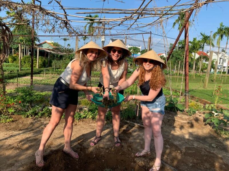 Hoi An Countryside Bike Tour & Basket Boat Ride - Practicalities and Tips