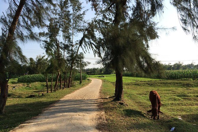 Hoi An Countryside bike tour to Kim Bong village - FAQs