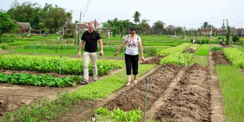 Hoi An: Countryside Biking- Cooking Class in Tra Que Village - Final Reflections and Returning to Hoi An