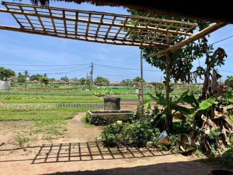 Hoi An: Countryside Biking- Cooking Class in Tra Que Village - Who Will Love This Tour?