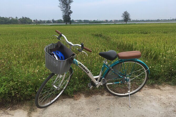 Hoi An countryside biking tour, water buffalo+ basket boat ride - Authentic Experiences and Reviews