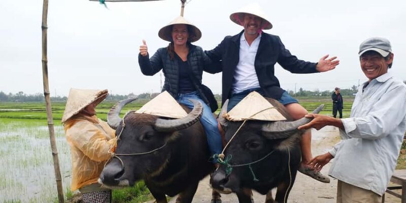Hoi An: Countryside by Cycling, Buffalo Riding & Do Farming - Key Points