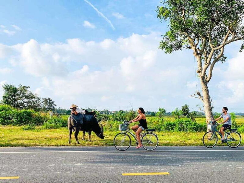 Hoi An: Countryside Cycling Tour With Local Life Insights - Who Will Love It