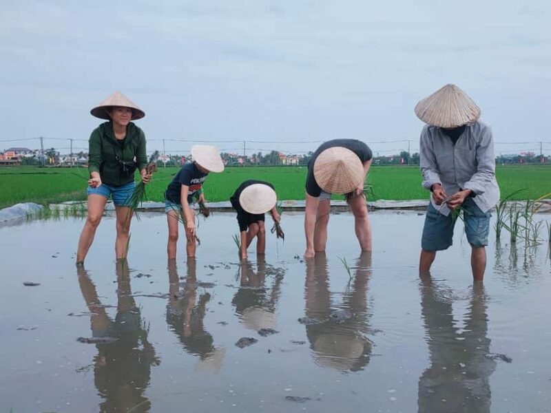 Hoi An: Countryside Half-Day Guided Bike Tour - Authenticity and Experience Highlights