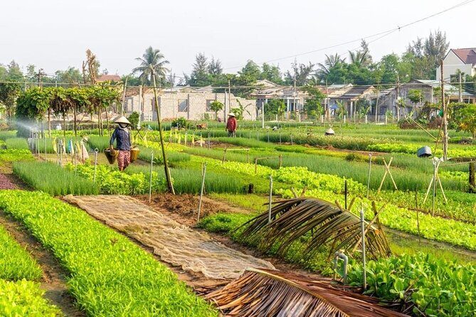 Hoi An: Countryside Sightseeing Bike Tour & Basket Boat Ride - Exploring the Countryside: In-Depth Review