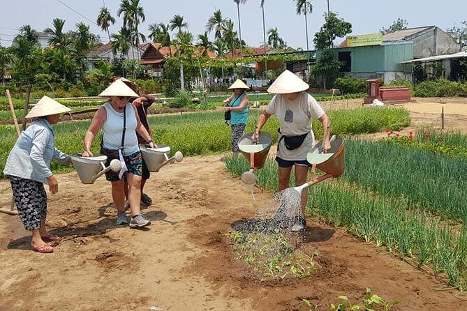 Hoi An Countryside to experience Local People Life&Explore everyCorner of Hoi An - FAQ
