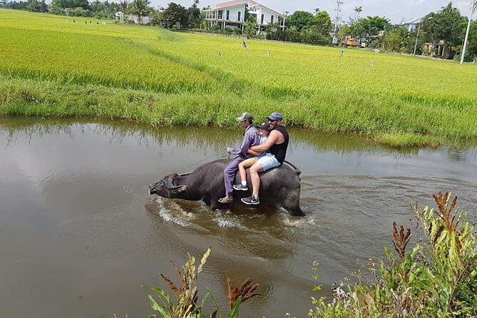 HOI AN COUNTRYSIDE TOUR in the Afternoon with 3 Villages in Hoi An - Final Thoughts: Is It Right For You?