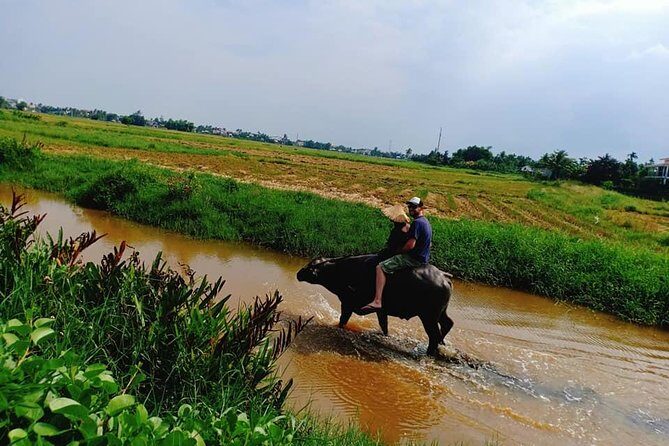 Hoi An Countryside Tour with 3 Villages & Authentic Lunch , Herbal Foot Massage - The Sum Up