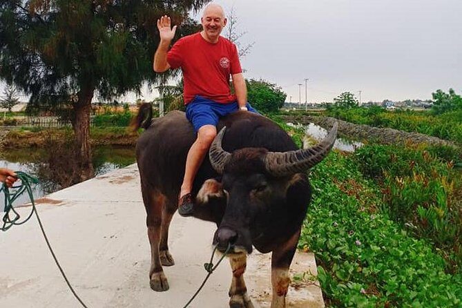 Hoi An Countryside Tour with Bamboo Basket Boat Rowing , Buffalo Ride, Farming - Practical Tips and Considerations