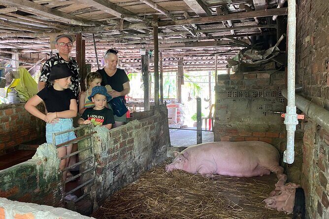 Hoi An Countryside, Village Life & Tasty Local Lunch - Discovering the Charm of Hoi An Countryside, Village Life & Tasty Local Lunch