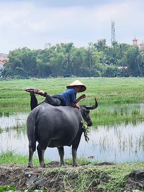 Hoi An: Countryside Villages and River Islands Private Tour - Transportation & Guides