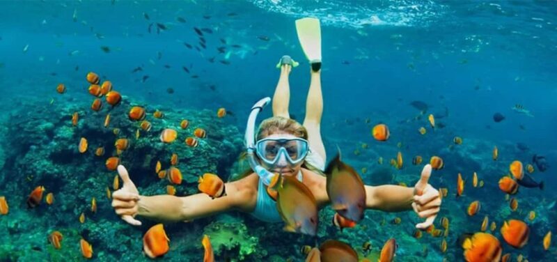 Hoi An/Da Nang: Cham Islands Snorkeling by Speedboat w Lunch - A Detailed Breakdown of the Experience