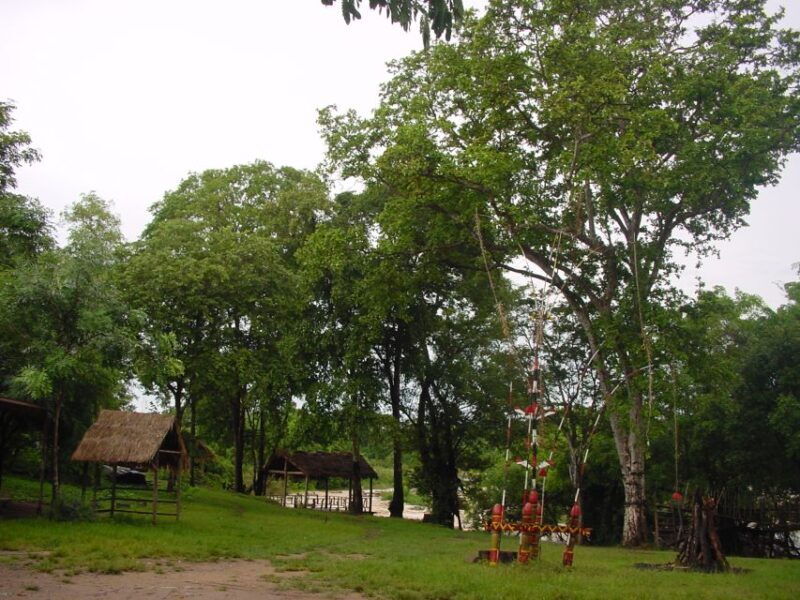 Hoi An/Da Nang: Hue Day Trip via Hai Van Pass - The Sum Up