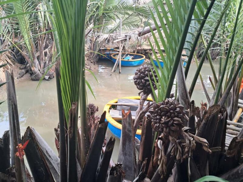 Hoi An/Da Nang: My Son & Basket Boat w Early Morning Option - The Sum Up