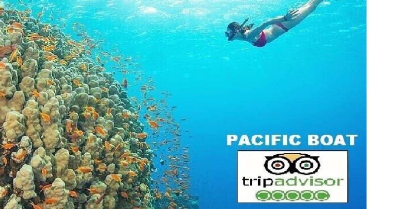 Hoi An/Da Nang: Snorkelling & Island-Hopping Speedboat Tour - Transport and Practicalities