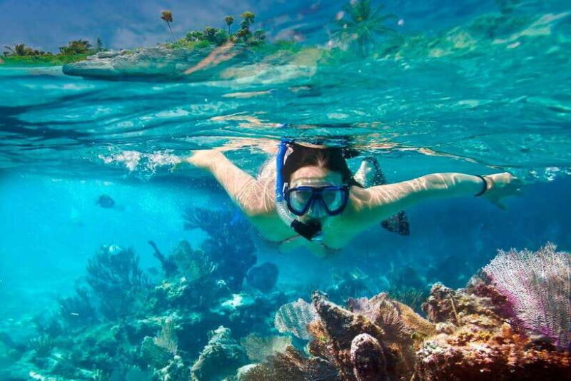 Hoi An/Da Nang:Cham Island Daily Tour-Snorkeling Experience - An In-Depth Look at the Tour Experience