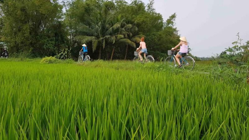 Hoi An : Eco Bicycle Tour with Fishing and Lunch/Dinner - Key Points