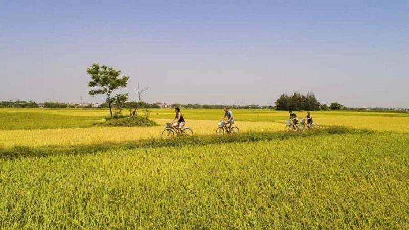Hoi An : Eco Bicycle Tour with Fishing and Lunch/Dinner - The Experience in Detail