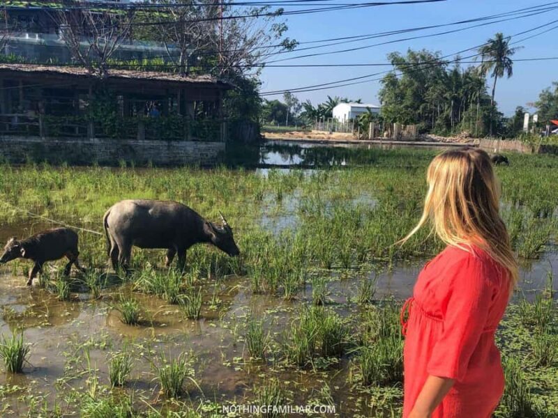Hoi An : Eco Bicycle Tour with Fishing and Lunch/Dinner - FAQs